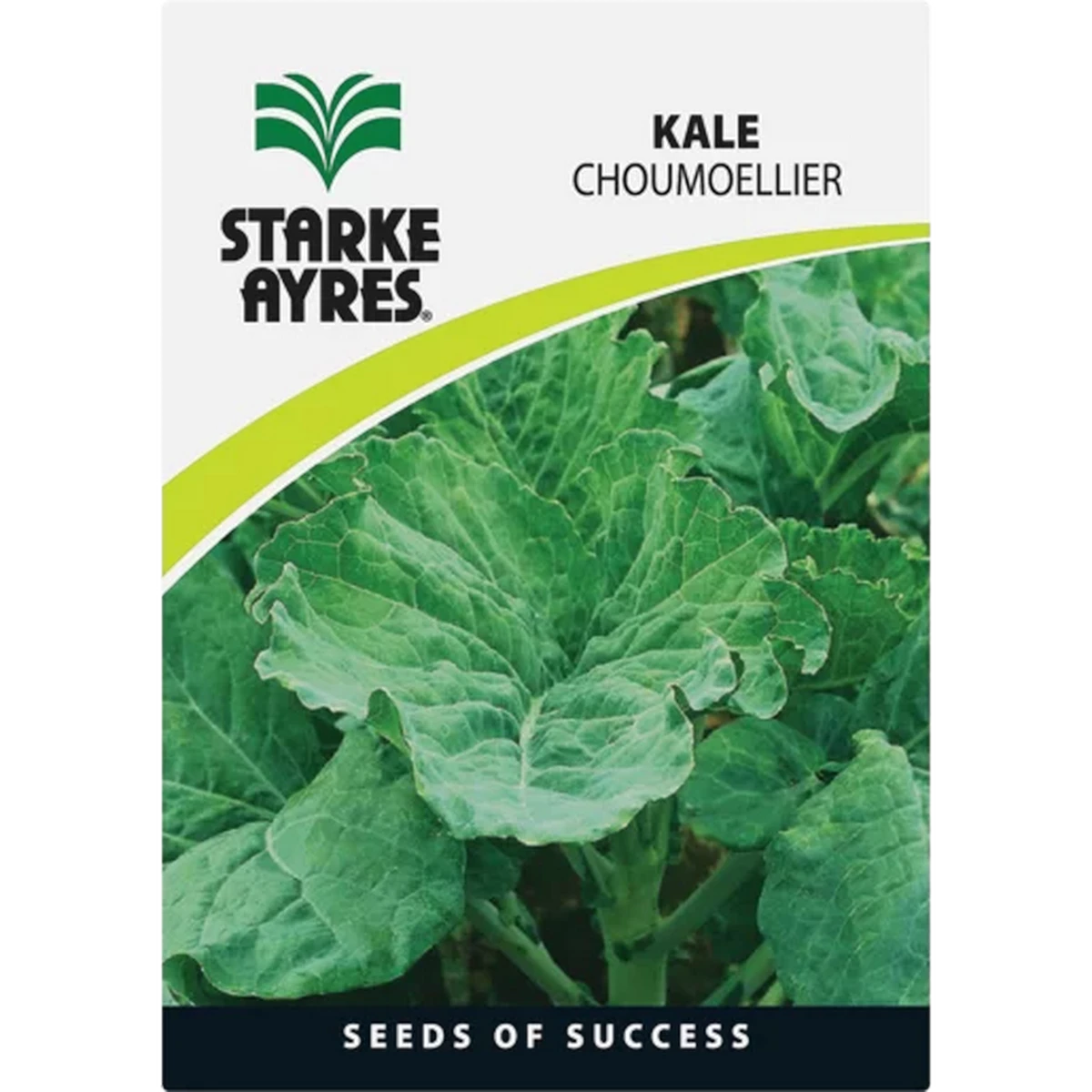 Checkers Sixty60 | Starke Ayres Kale Variety Vegetable Seeds