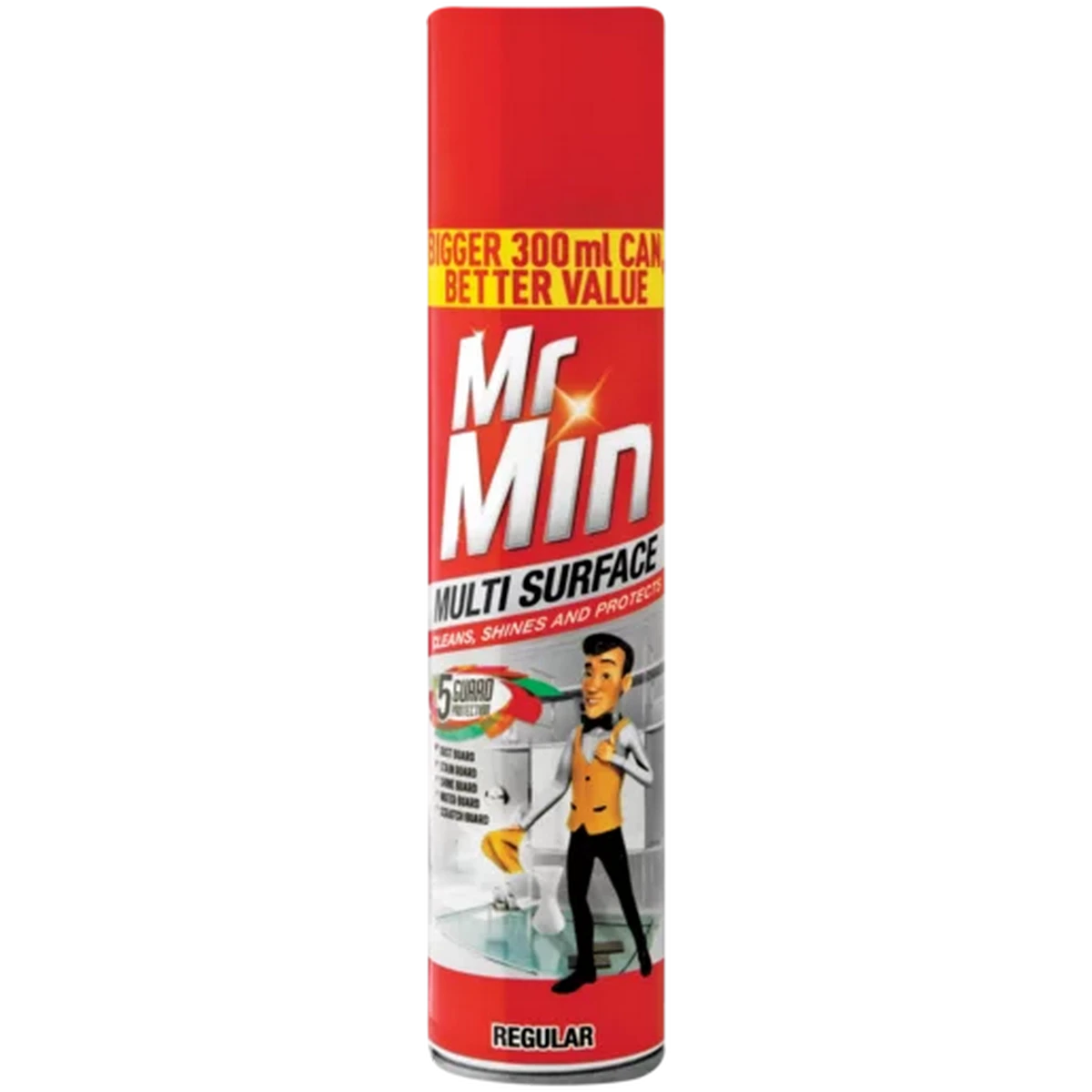 Checkers Sixty60 | Mr. Min Multi Regular Multi-Surface Cleaner 300ml