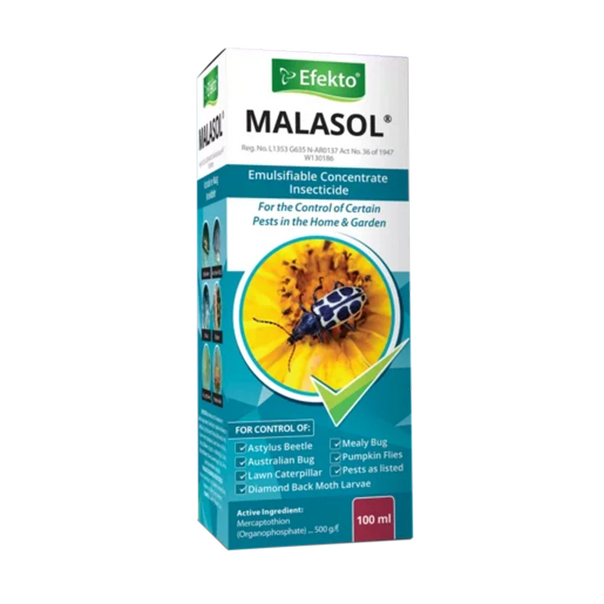 Checkers Sixty60 | Efekto Malasol Emulsifiable Concentrate Insecticide ...