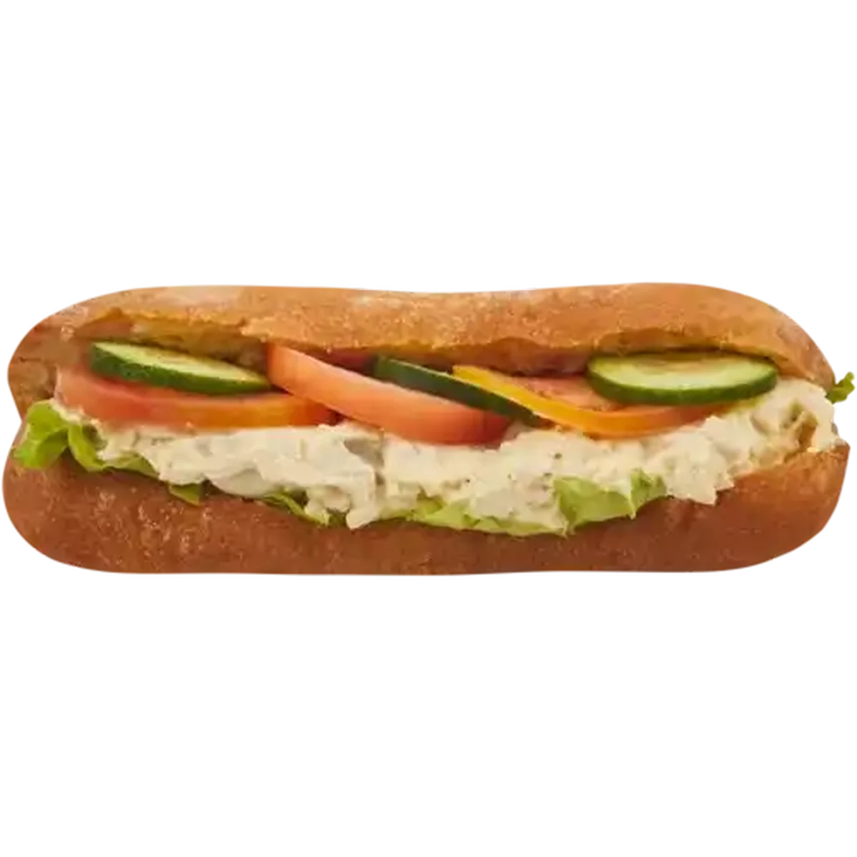 Checkers Sixty60 | Chicken Mayo Panini Single