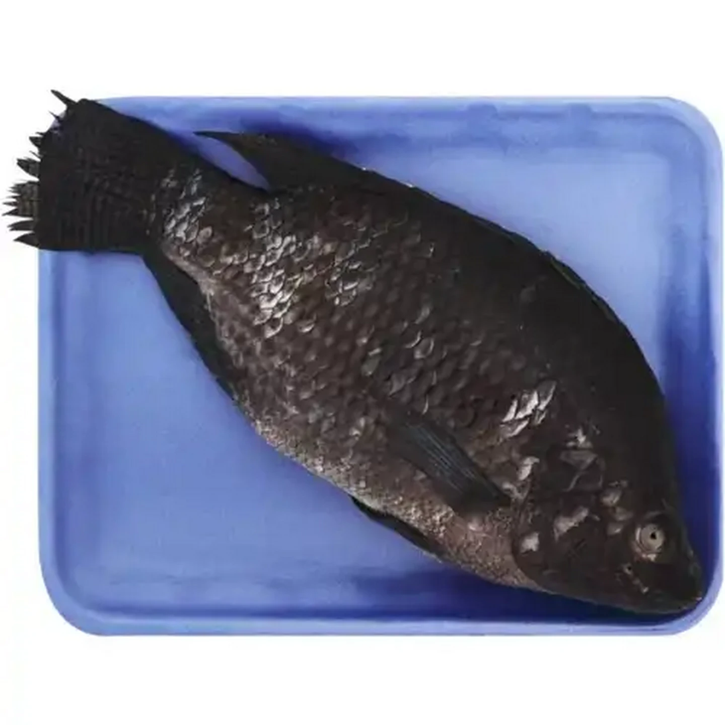 Checkers Sixty60 | Tilapia Per kg