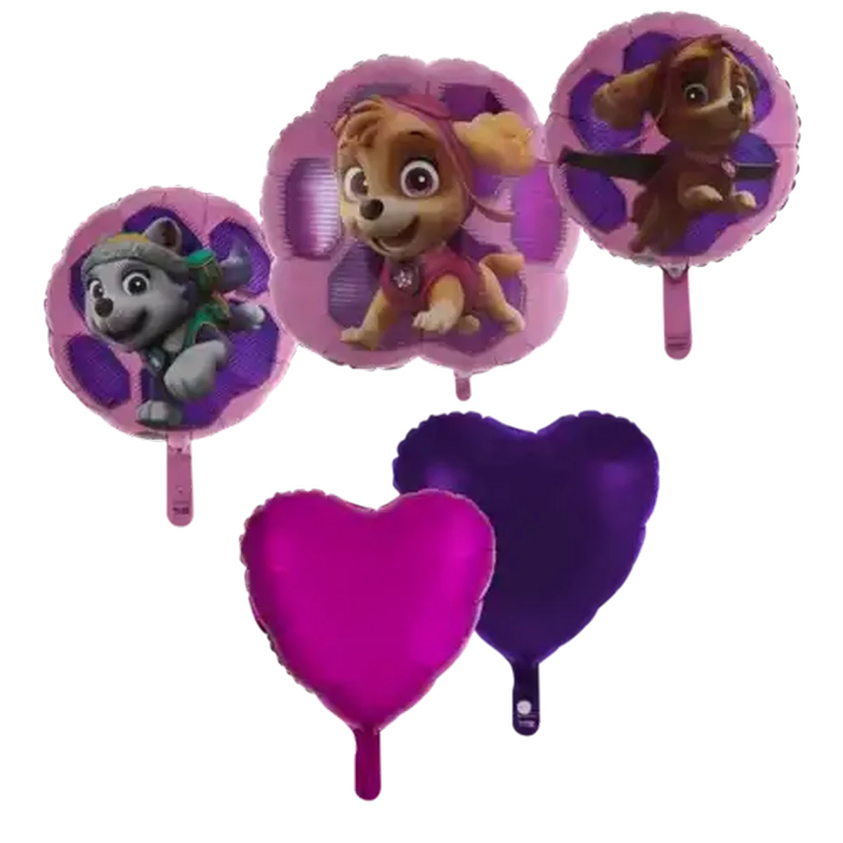 Checkers Sixty60 | PAW Patrol Sky Balloon Bouquet 5 Piece