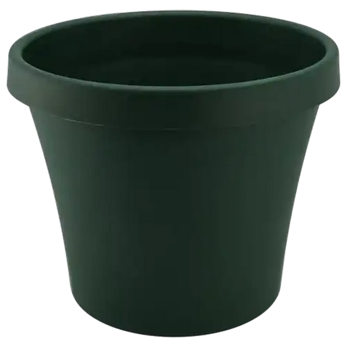 Checkers Sixty60 | Sebor Green Superpot Pot Plant 40cm