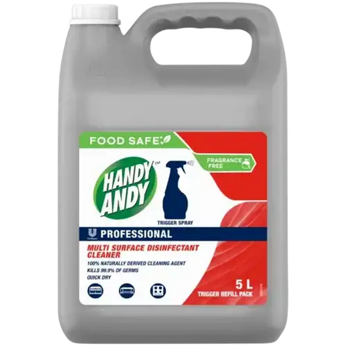 Checkers Sixty60 | Handy Andy Professional Multi-Surface Disinfectant ...