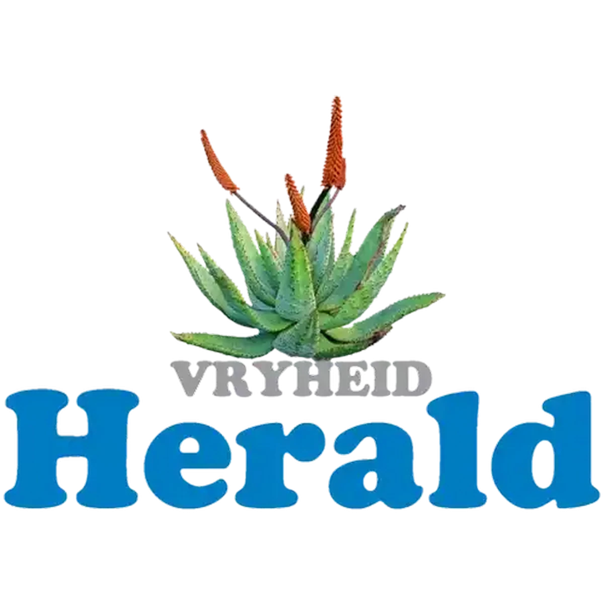 Checkers Sixty60 | Vryheid Herald Newspaper