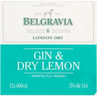 Checkers Sixty60 | Mayfair Gin & Dry Lemon 12 x 660ml