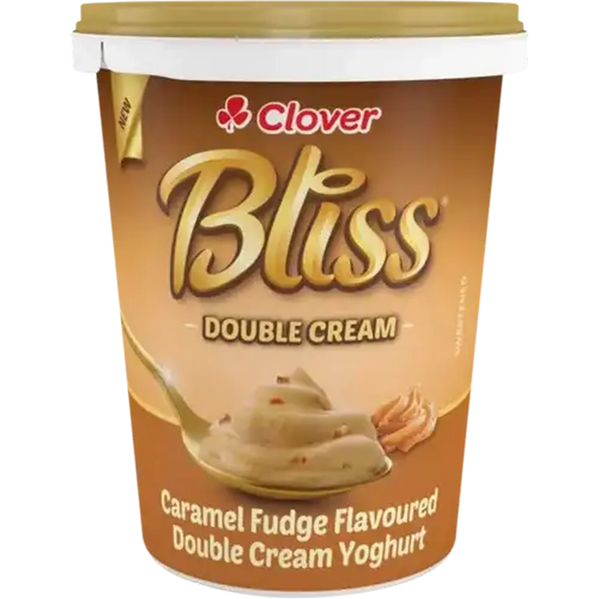 Checkers Sixty60 | Clover Bliss Caramel Fudge Flavoured Double Cream ...
