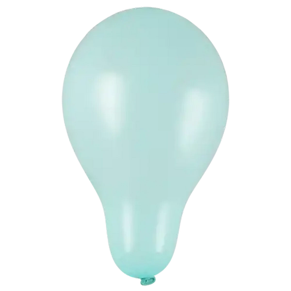 Checkers Sixty60 | Party Xpress Small Pastel Mint Loose Balloon