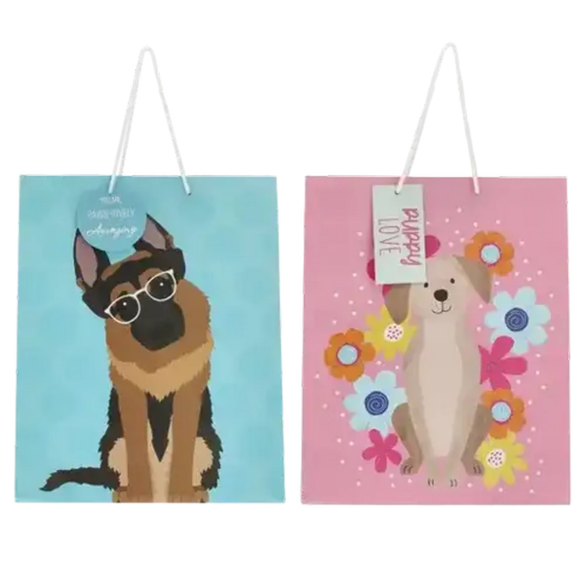 Checkers Sixty60 | Creative Stationery Pet Large Gift Bag (Design May Vary)