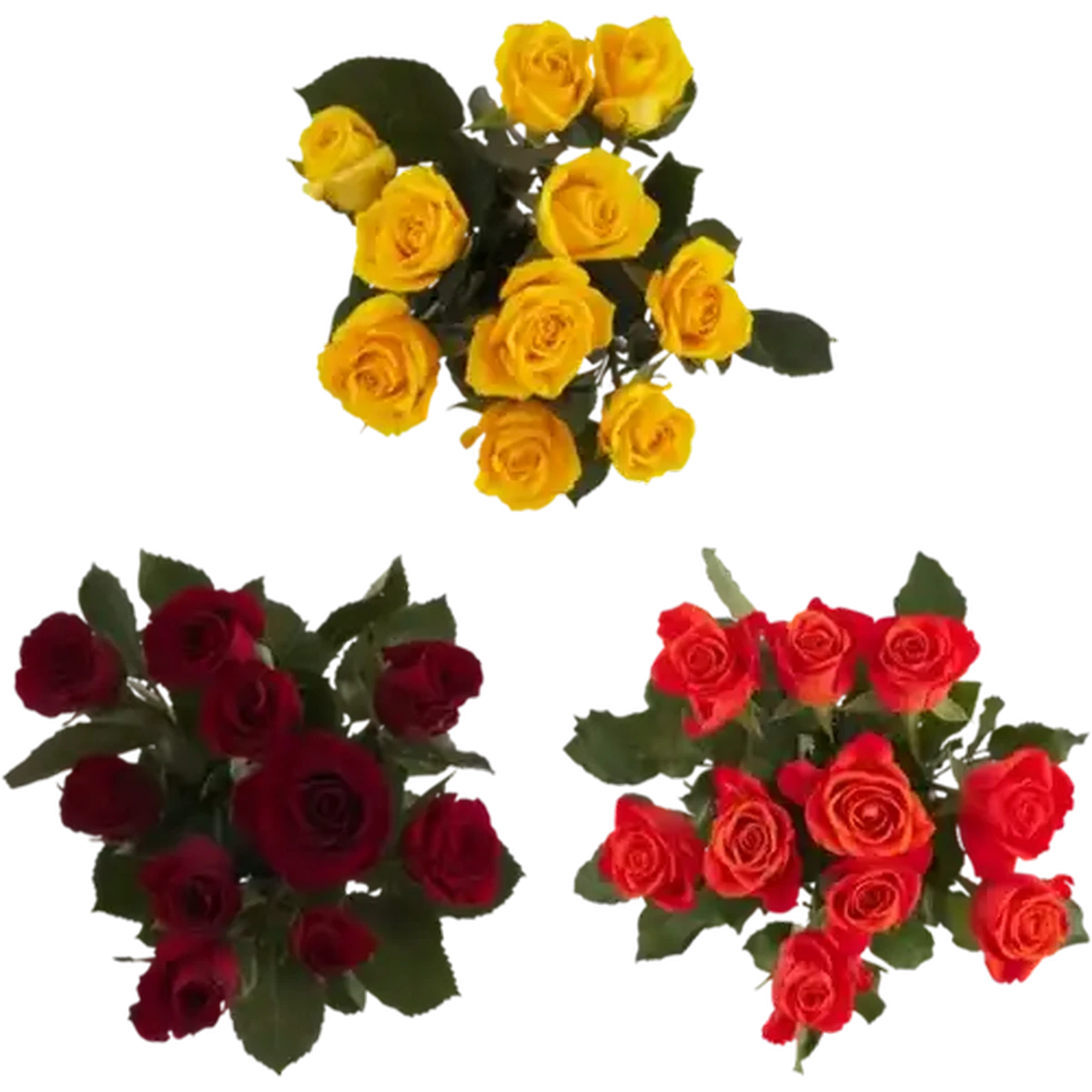 Checkers Sixty60 | Bright Rose Flower Bunch (Colour May Vary)