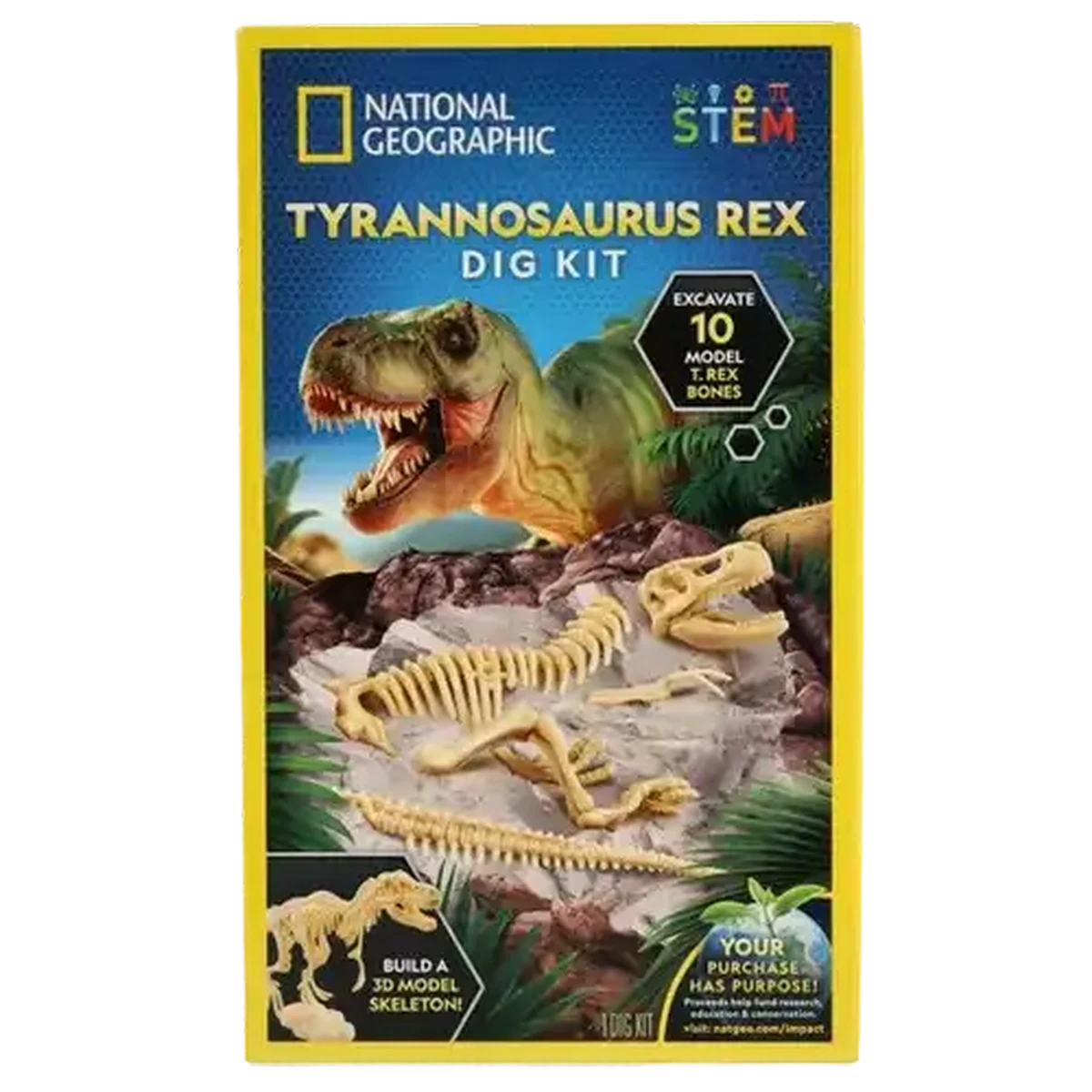 Checkers Sixty60 | National Geographic Tyrannosaurus Rex Dig Kit